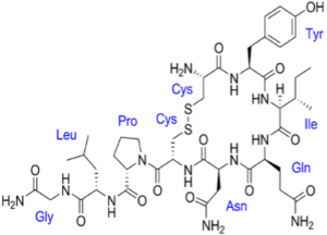 Oxytocin - The International Peptide Society
