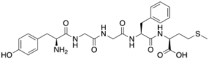 Met-enkephalin - The International Peptide Society